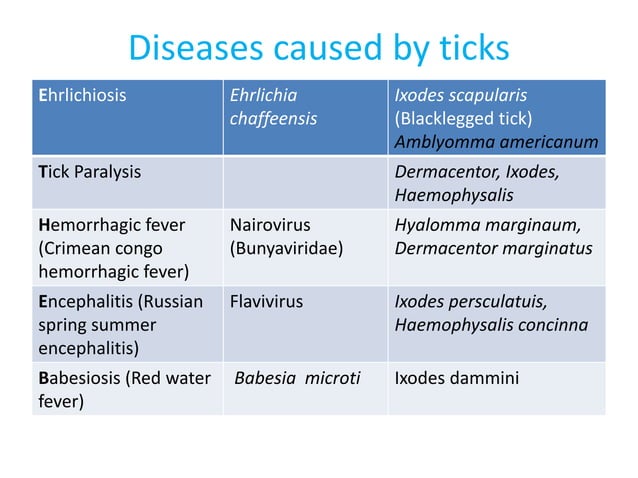 Ticks & Mites | PPTX