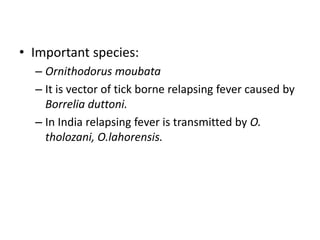 Ticks & Mites | PPTX