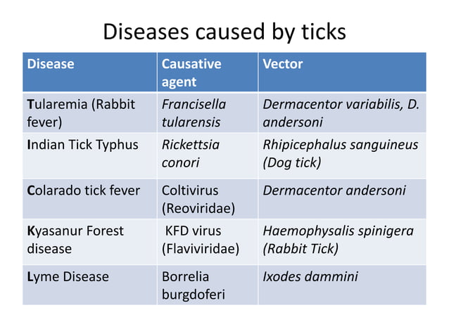 Ticks & Mites | PPTX