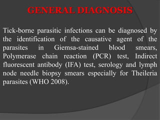 Tick borne parasitic infections | PPTX