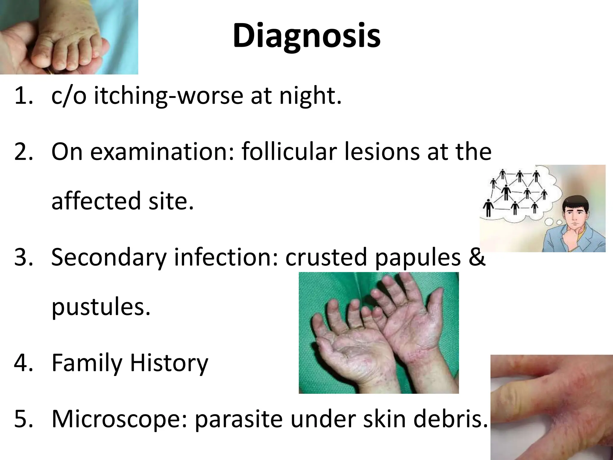 Tick and Lice.ppt