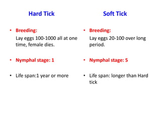 Tick and Lice.ppt | Infectious Diseases | Diseases and Conditions