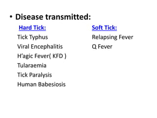 Tick and Lice.ppt | Infectious Diseases | Diseases and Conditions