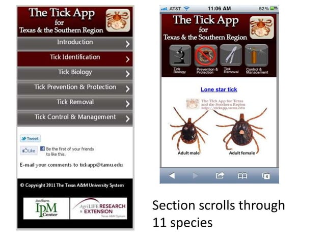 Tick App | PPT