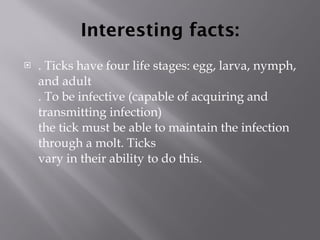 Tick bio powerpoint[1] | PPT