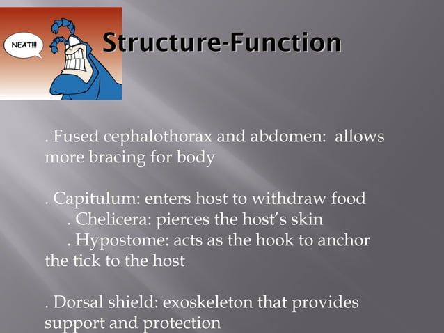 Tick bio powerpoint[1] | PPT