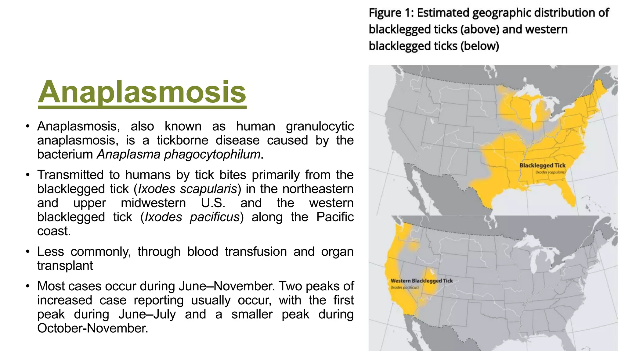 Tick borne diseases | PPTX
