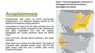 Tick borne diseases | PPTX