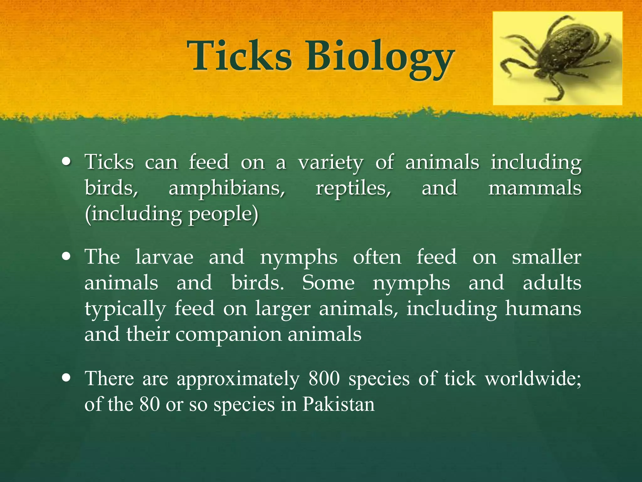 Tick Borne Diseases of Public Significance and Integrated Vector ...