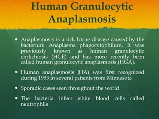 Tick Borne Diseases of Public Significance and Integrated Vector ...