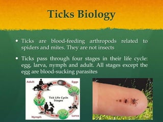 Tick Borne Diseases of Public Significance and Integrated Vector ...