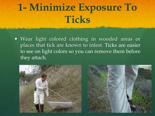 Tick Borne Diseases of Public Significance and Integrated Vector ...