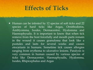 Tick Borne Diseases of Public Significance and Integrated Vector ...