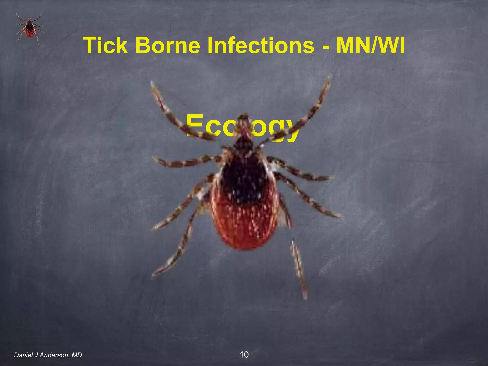 Tick borne infections | PPT