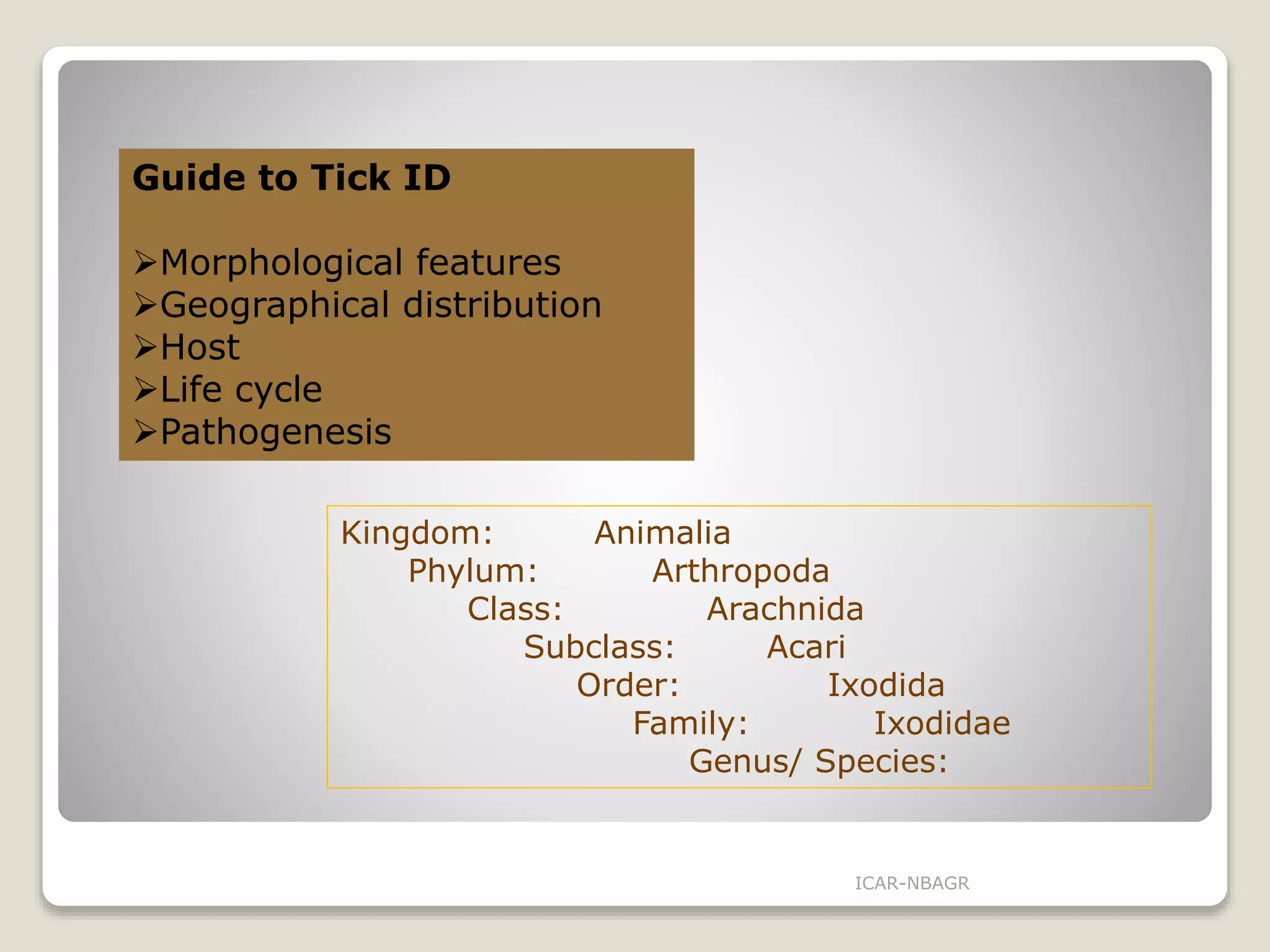 Tick identification guide | PPTX