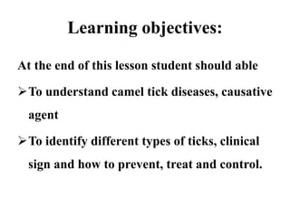 Tick in camels (Shilinta Geella fara dheer) | PPTX