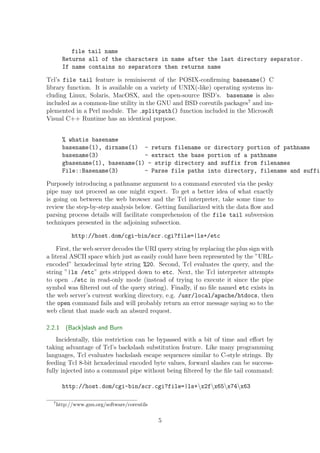 Tickling CGI Problems (Tcl Web Server Scripting Vulnerability Research) | PDF