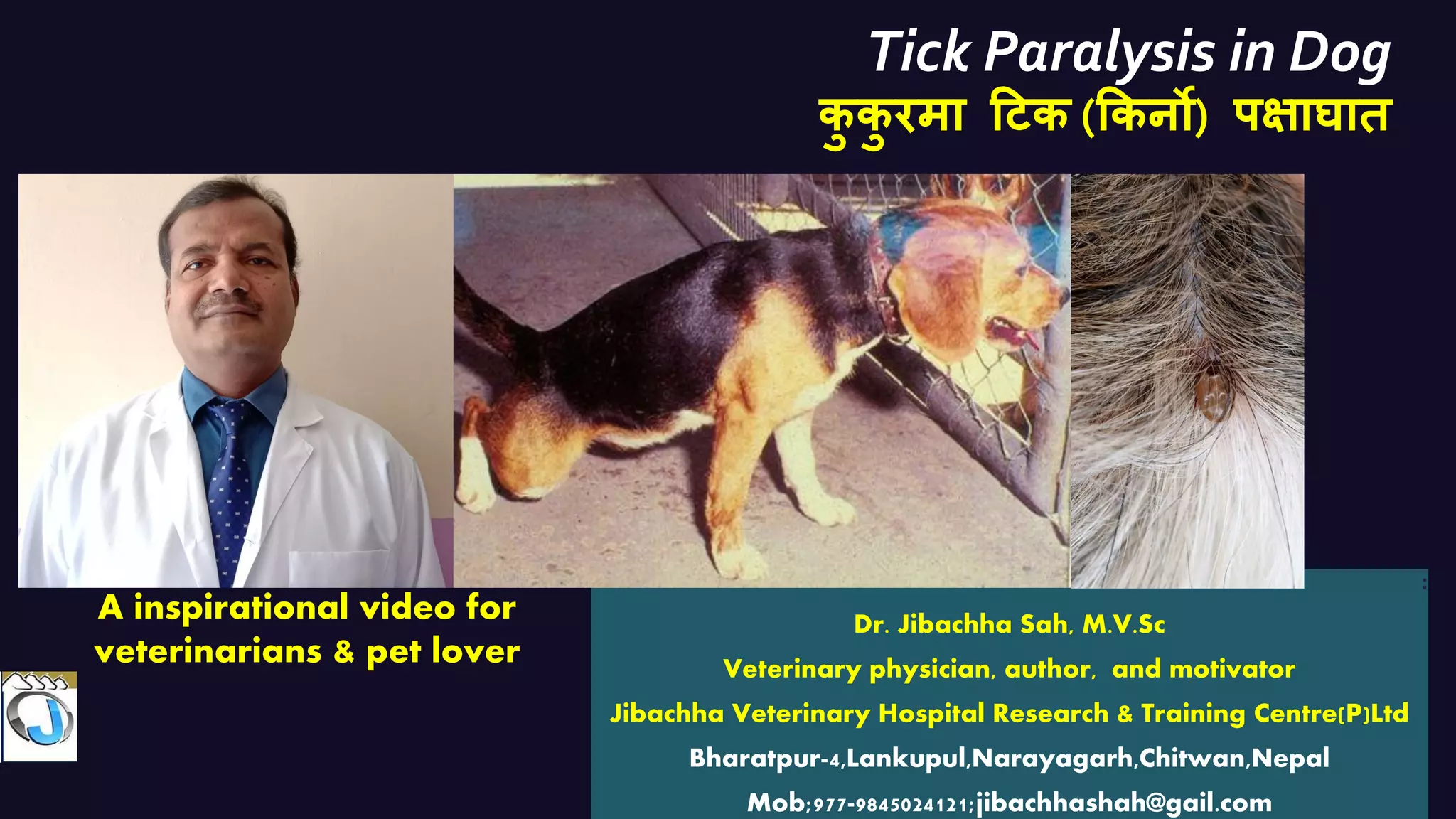 Tick paralysis in dog-Dr.jibachha Sah,M.V.SC