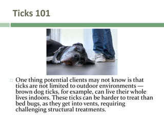 Ticks | PPTX
