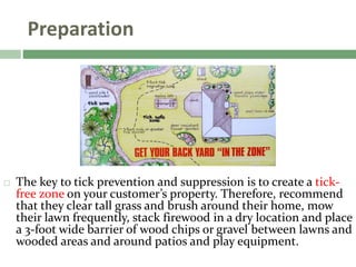 Ticks | PPTX
