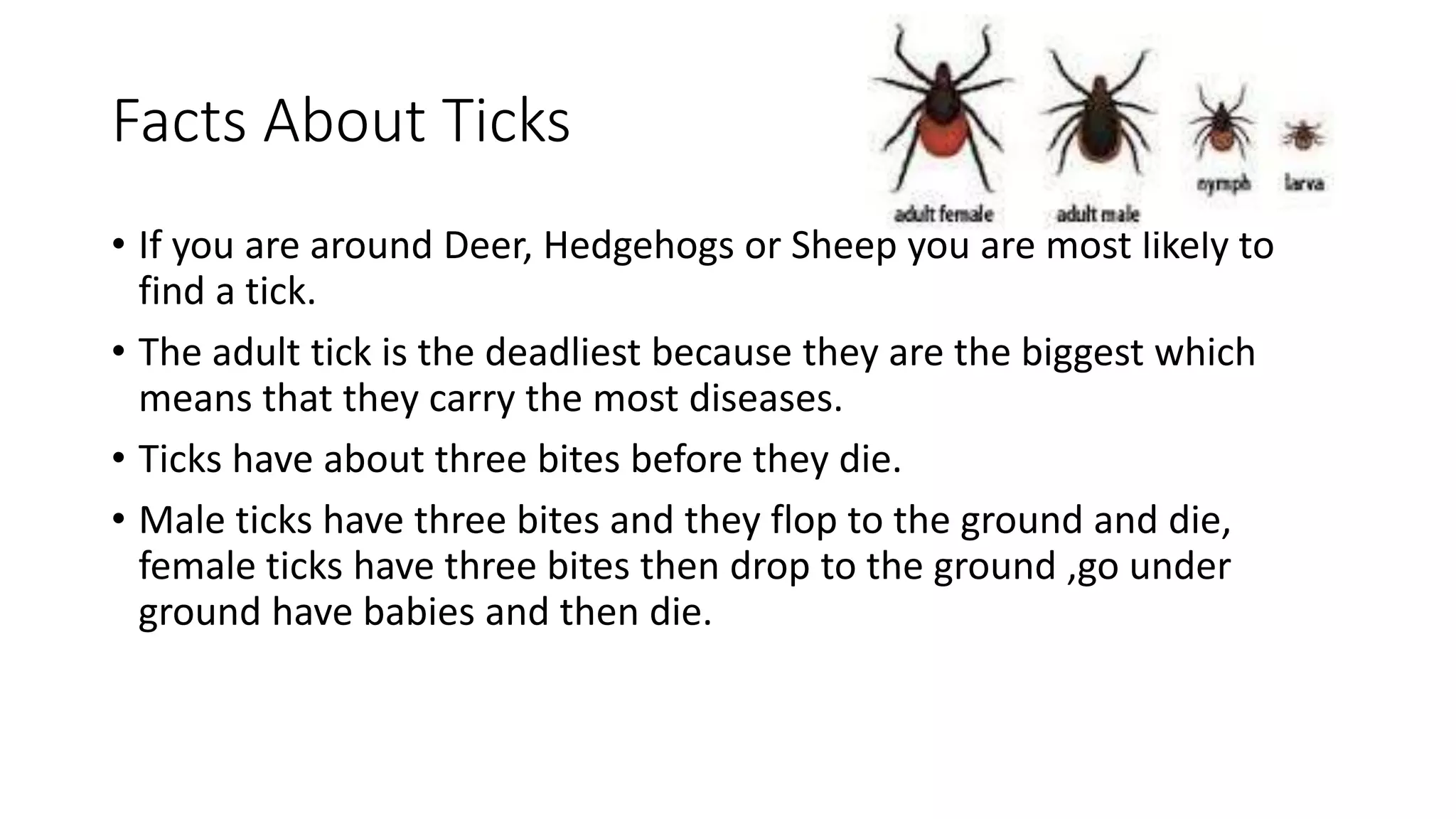 Ticks | PPT