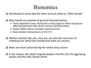 Ticks and mites | PPTX