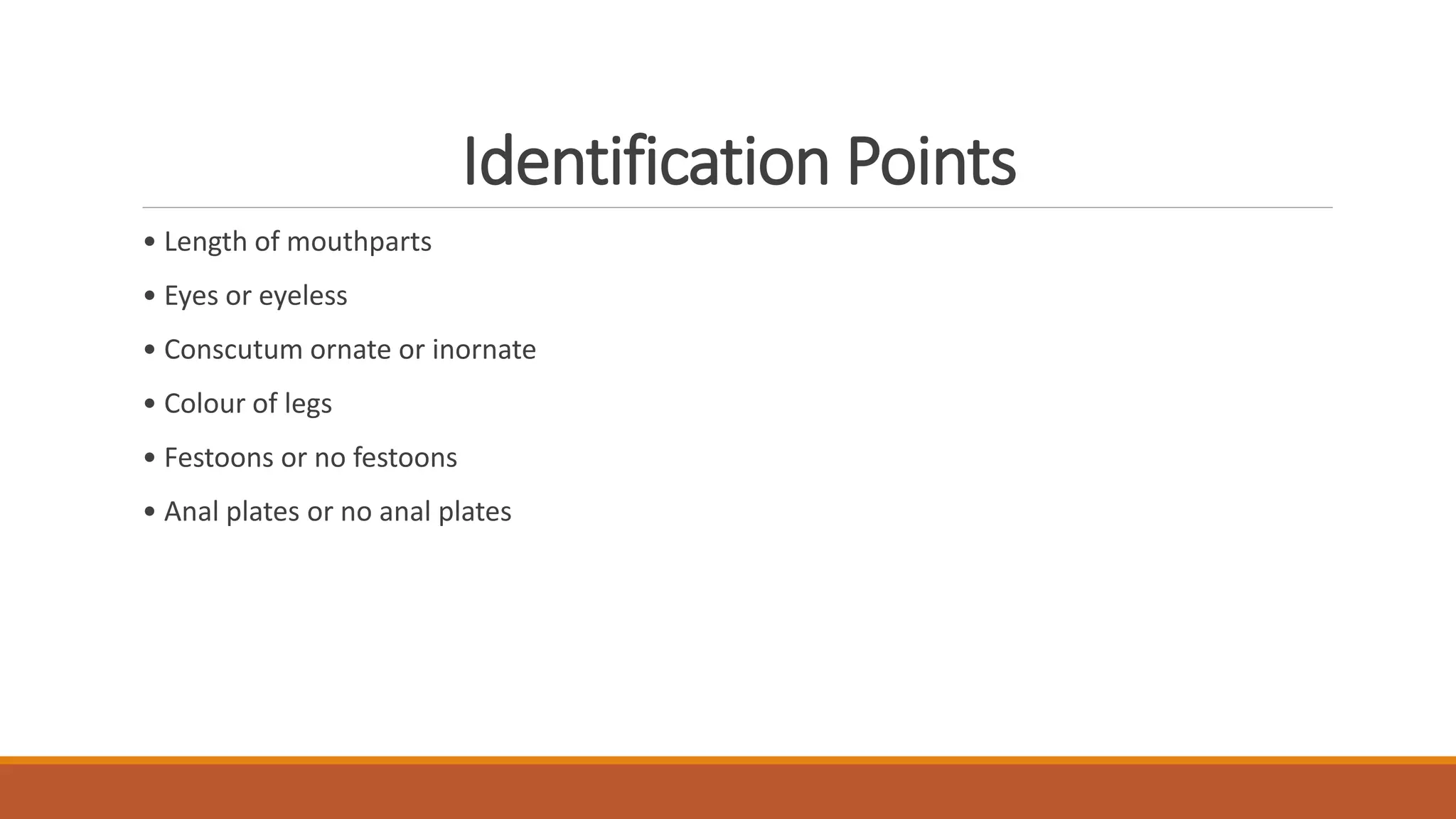 Ticks identification | PPTX