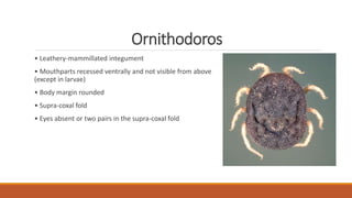 Ticks identification | PPTX