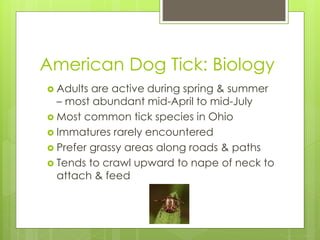 Ticks and the Diseases they Carry | PPTX