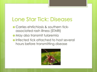 Ticks and the Diseases they Carry | PPTX