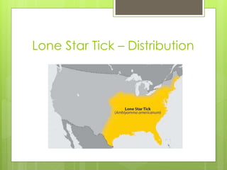 Ticks and the Diseases they Carry | PPTX