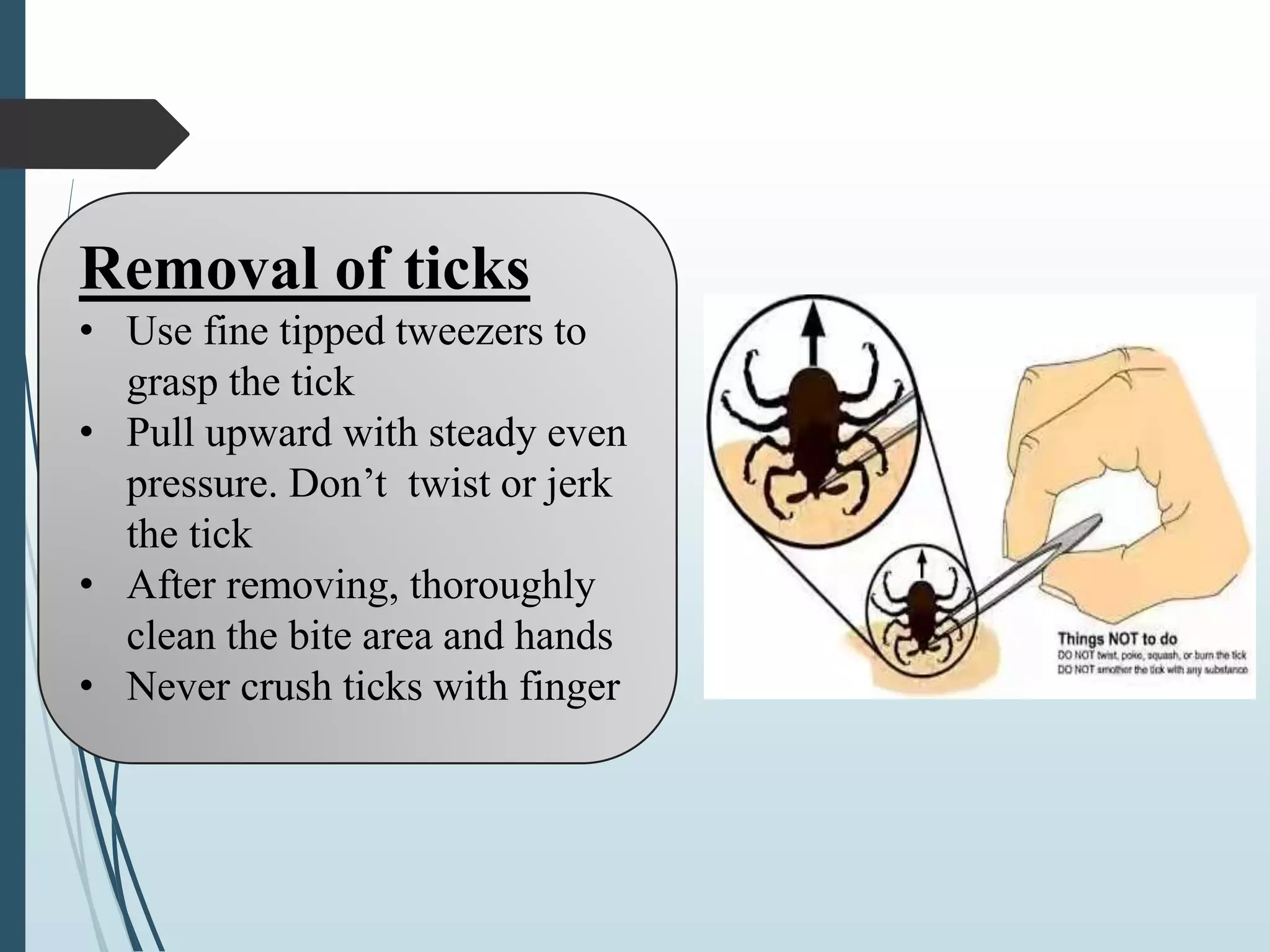 Ticks and its parasitic adaptations | PPTX