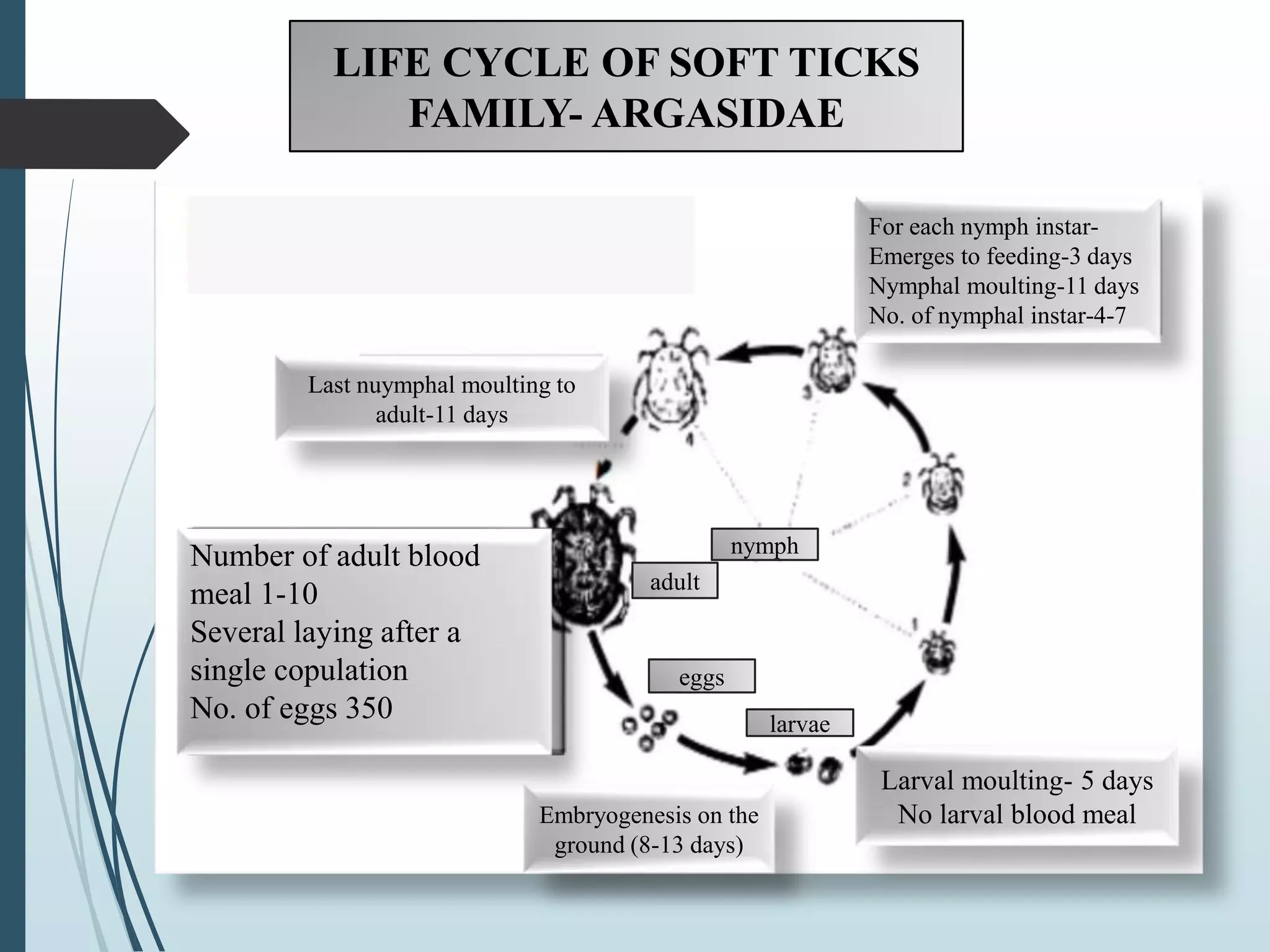 Ticks and its parasitic adaptations | PPTX
