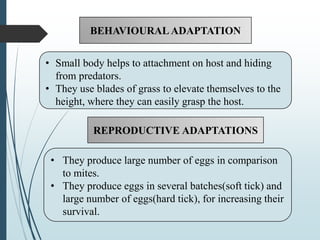 Ticks and its parasitic adaptations | PPTX