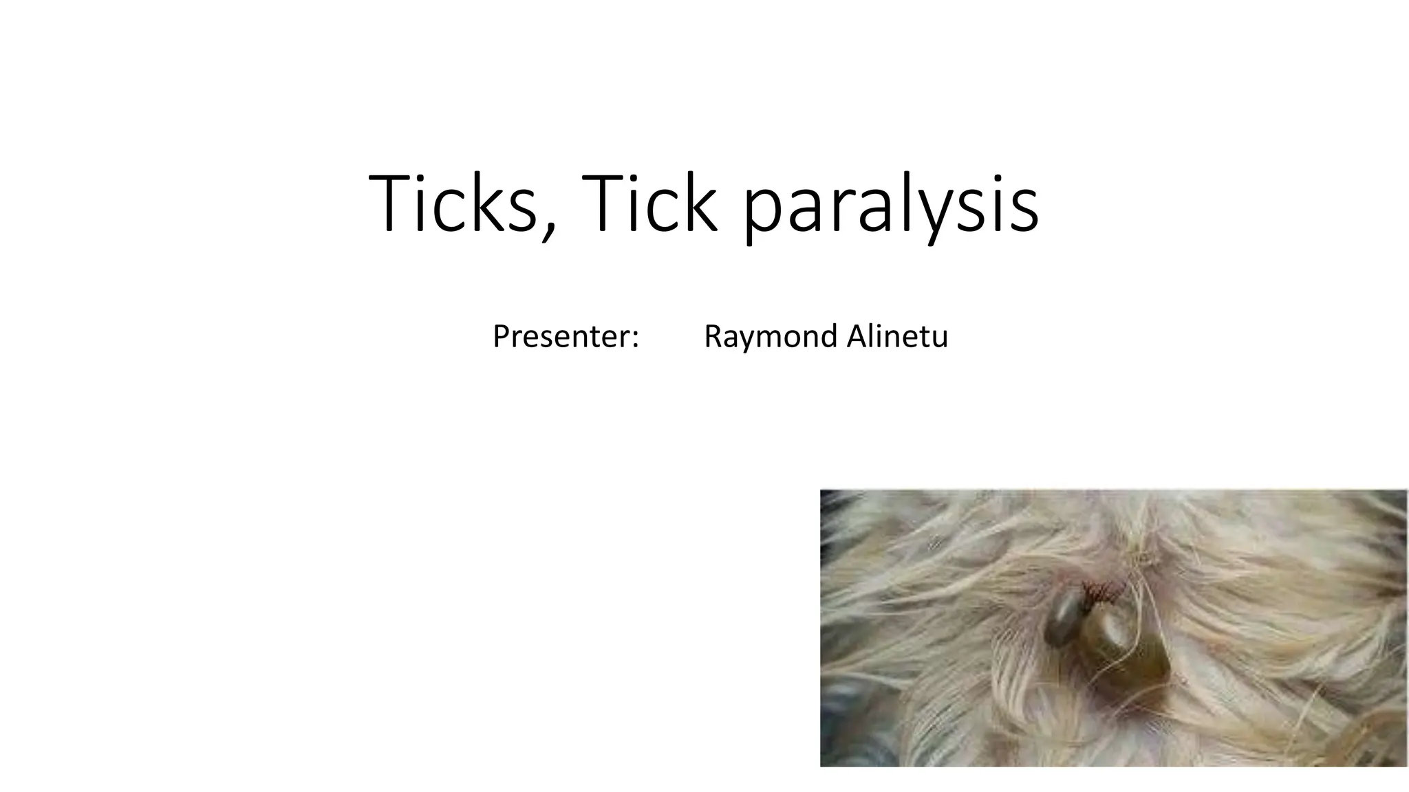 Ticks, Tick paralysis and Tick fever ppt | PPTX