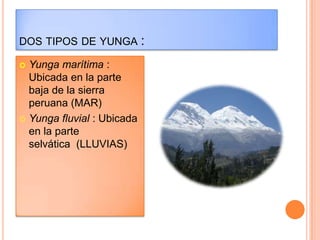las ocho regiones naturales del perú | PPTX