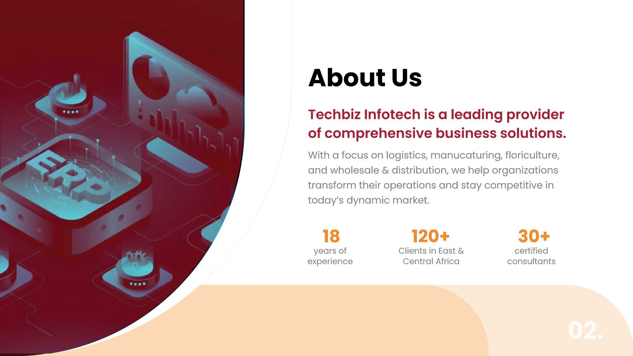 Techbiz Infotech Company Profile-Final.pdf