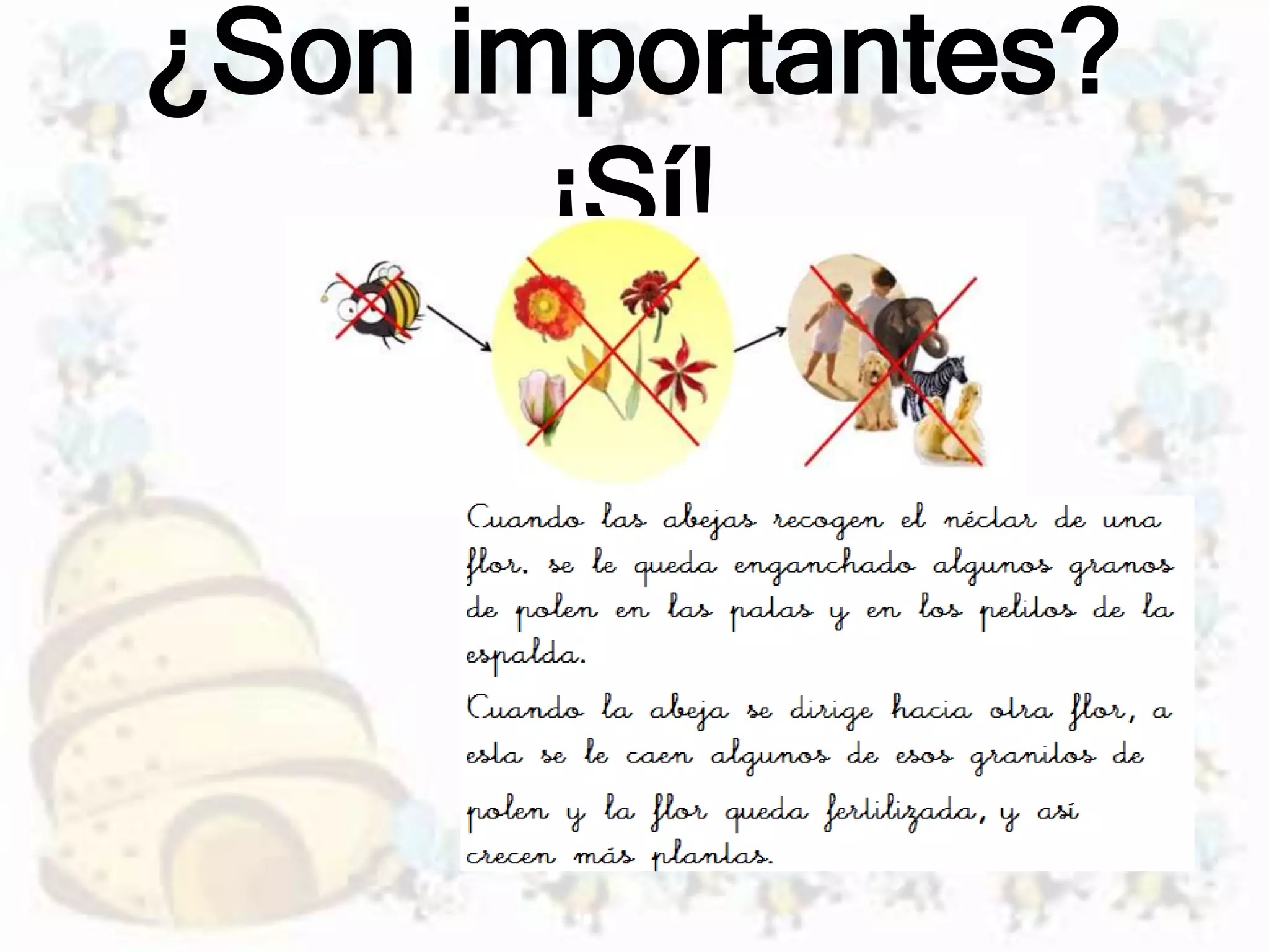 El maravilloso mundo de las abejas | PPTX