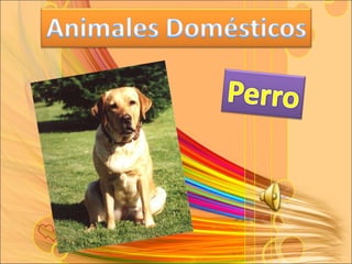 Ppt Educativo - Los Animales | PPT