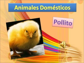 Ppt Educativo - Los Animales | PPT