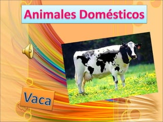 Ppt Educativo - Los Animales | PPT