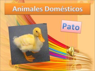 Ppt Educativo - Los Animales | PPT