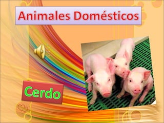Ppt Educativo - Los Animales | PPT