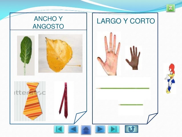 RELACIONES LOGICO MATEMATICAS: CONOCER NOCIONES DE TAMAÑO, ANCHO Y ...