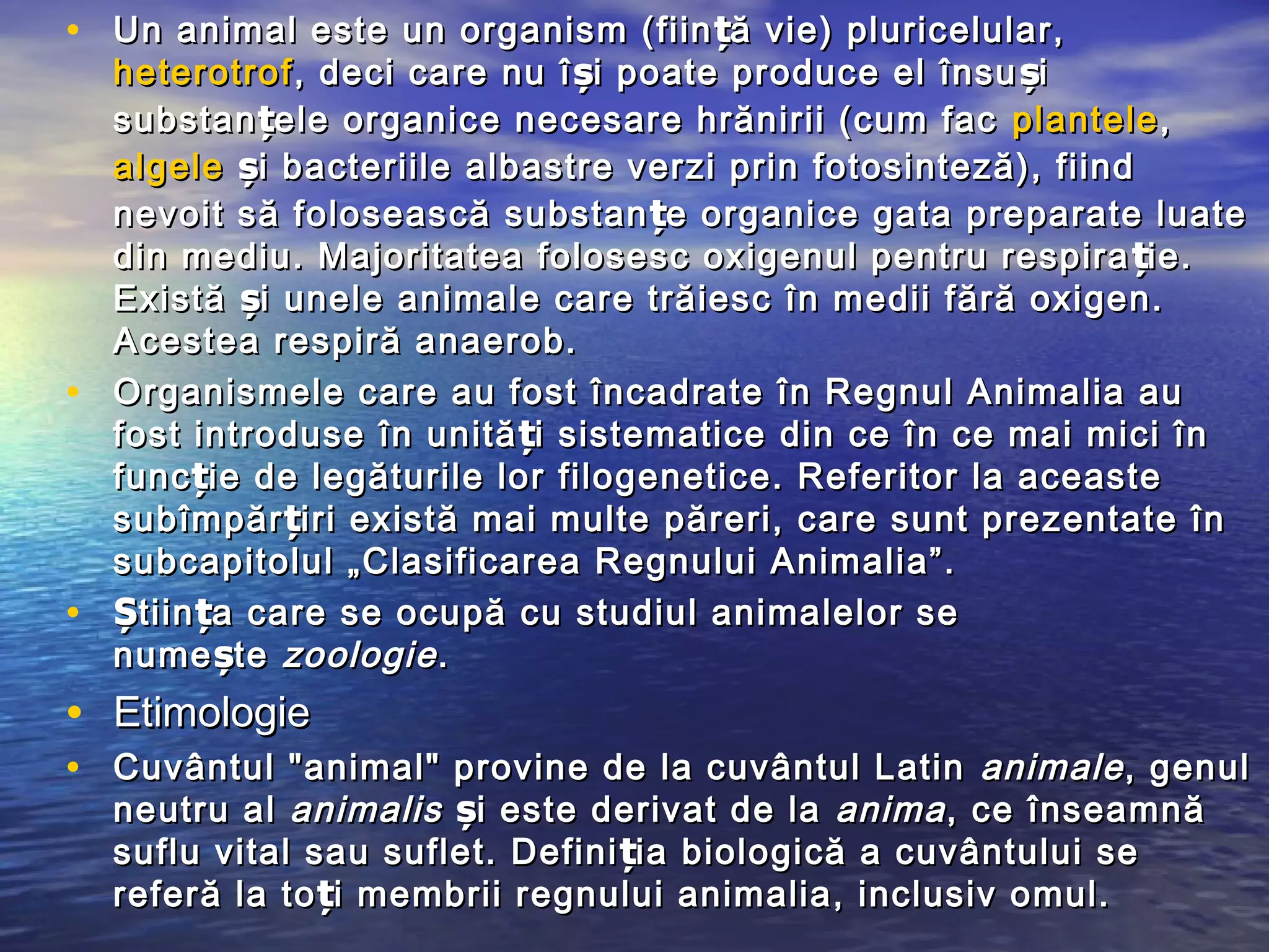 Ticula bianca 5 regnuri | PPT