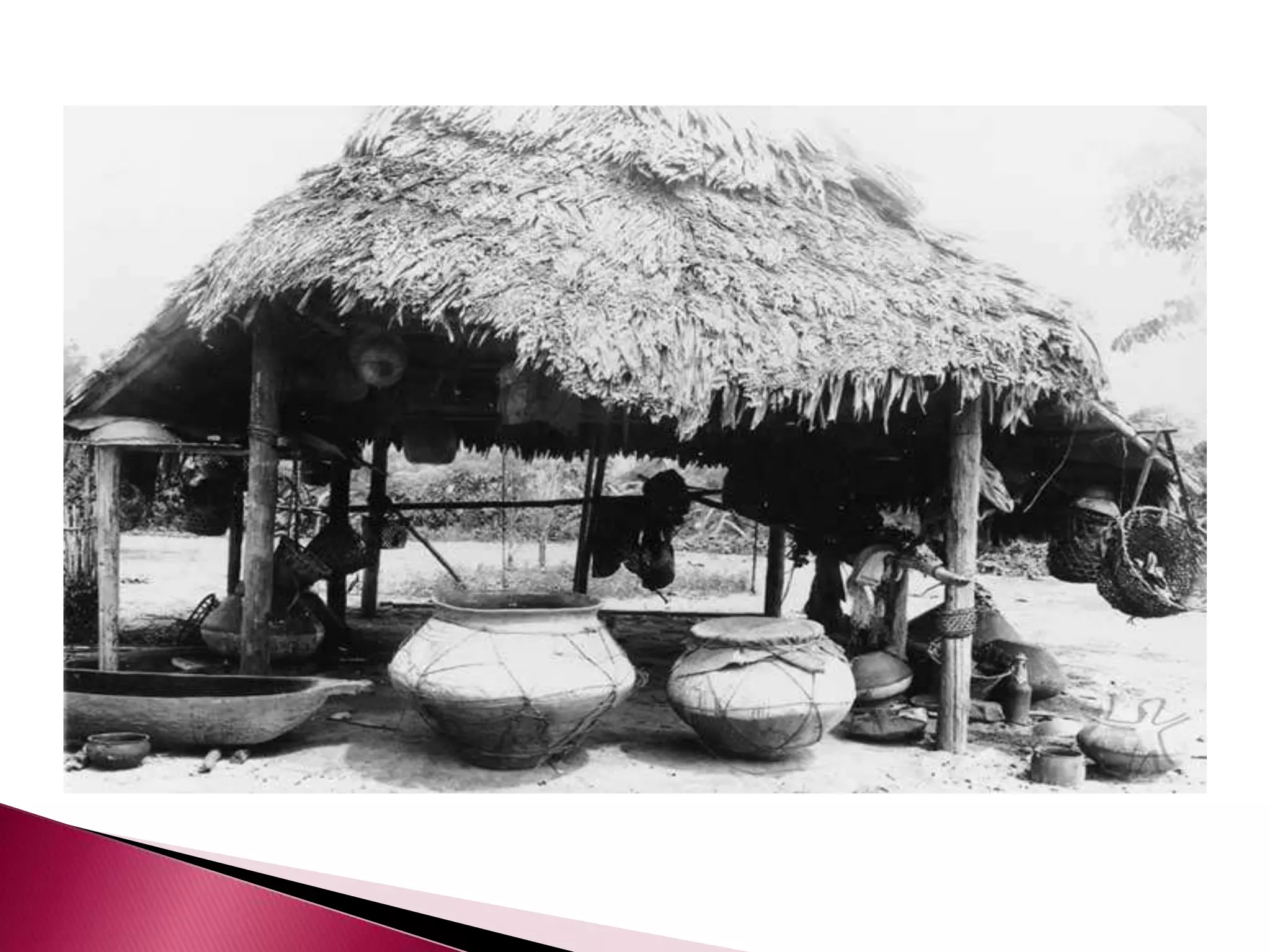 Ticuna ira 0220 | PPTX