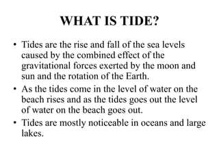 Tidal energy technology | PPTX