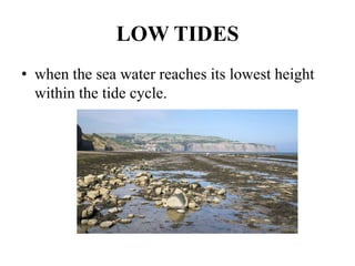 Tidal energy technology | PPTX