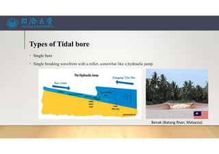 Tidal bore deposit | PDF