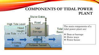 Tidal energy | PPTX